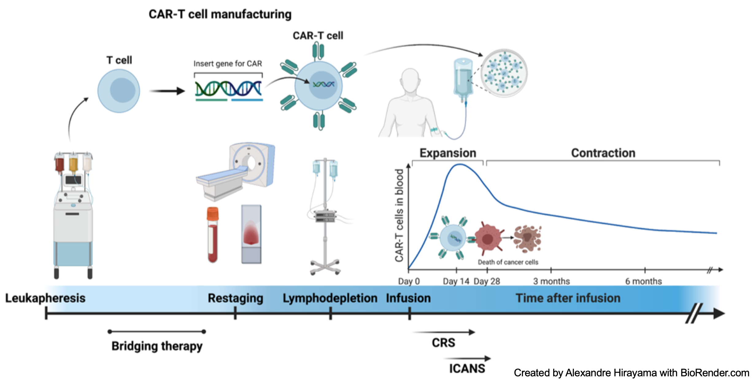 High-throughput, high sensitivity mapping of human T cell and CAR-T cell epigenomic landscapes ...